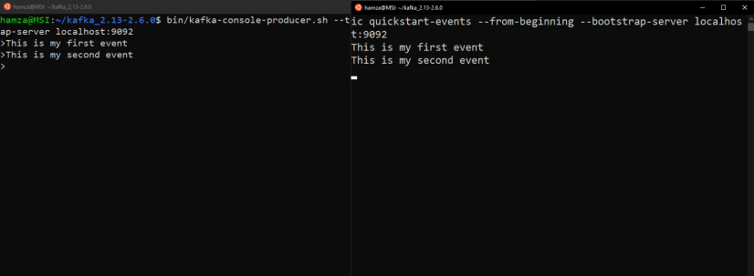 Kafka: A Backbone Framework for Application Data